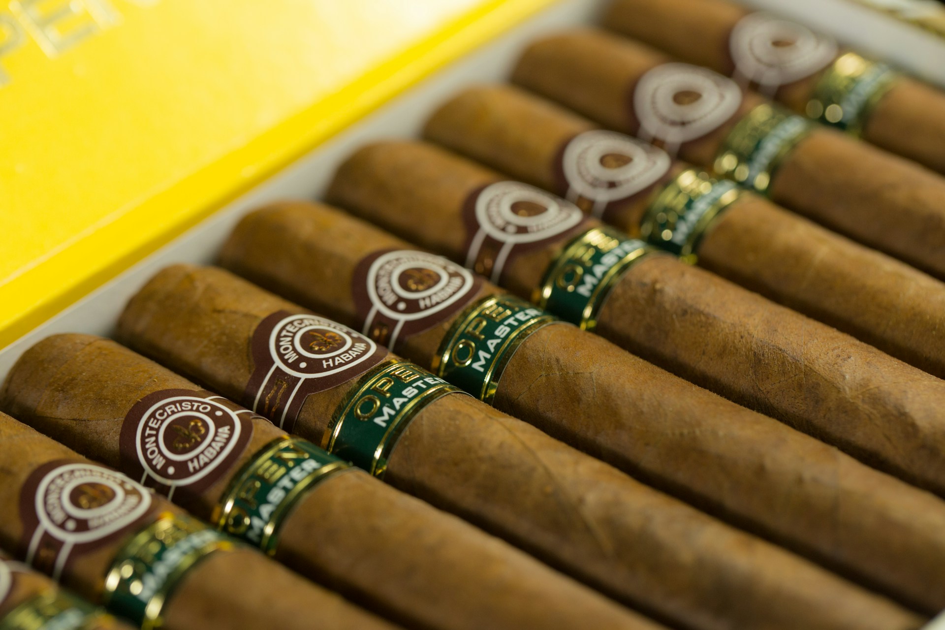 Top 5 Best Cigars for Beginners - Discount Smokes